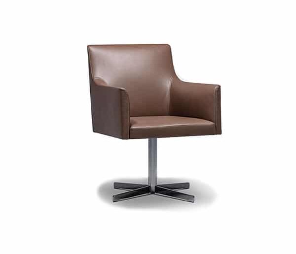 Camerich Serbia. SOHO RADNA STOLICA